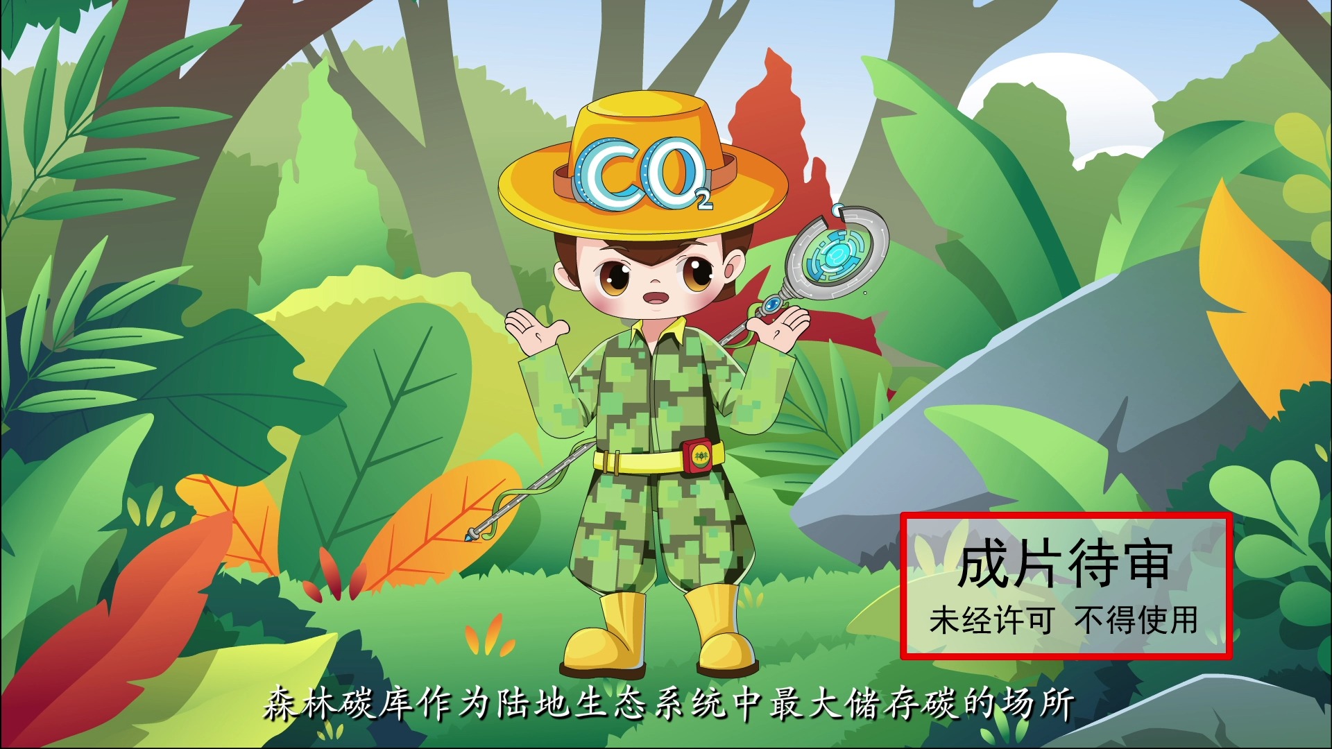 第三集 森林“碳汇”是把治碳利剑