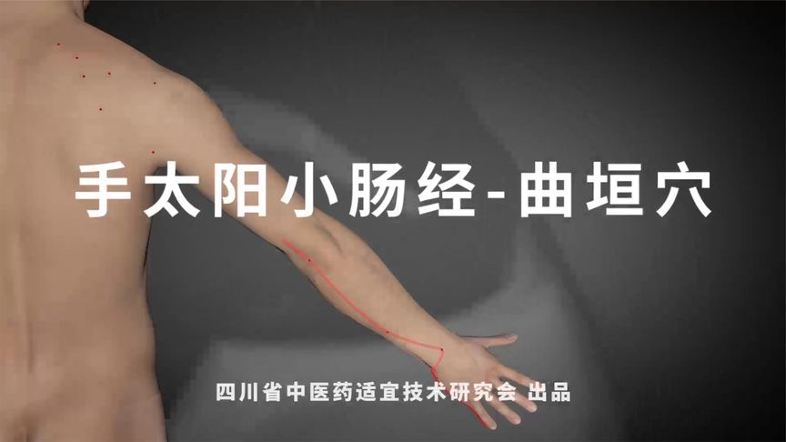 398个穴位,你都知道吗?手太阳小肠经-曲垣穴