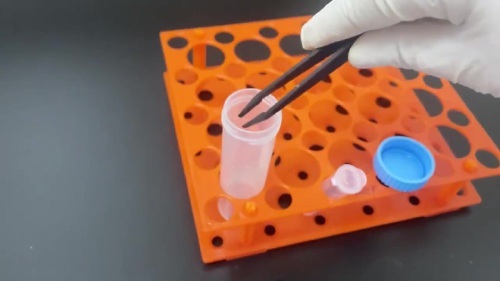 IHC实验石蜡包埋组织切片制备