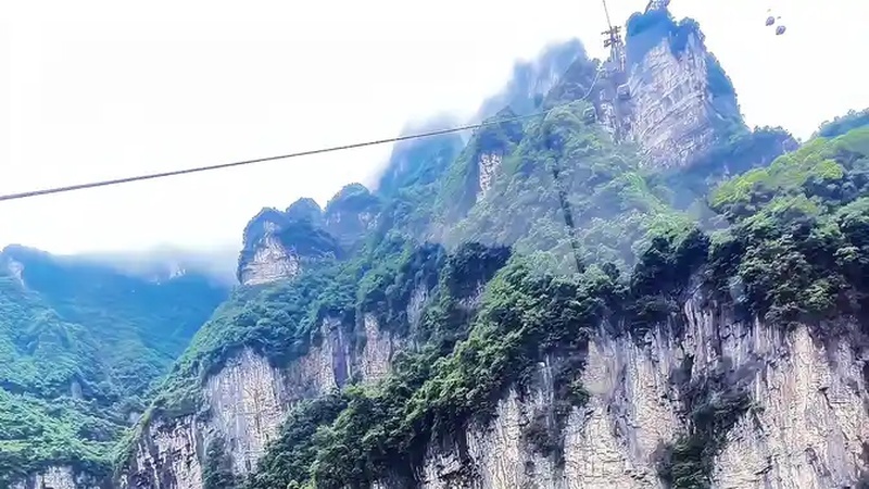张家界国家森林公园与天门山纯玩之旅,7月5日出发,价格实惠