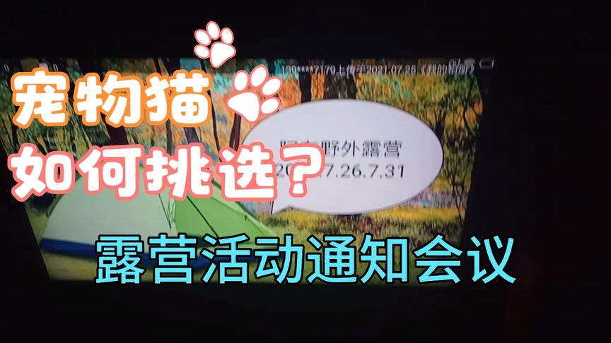 阿车会认,露营活动通知会议