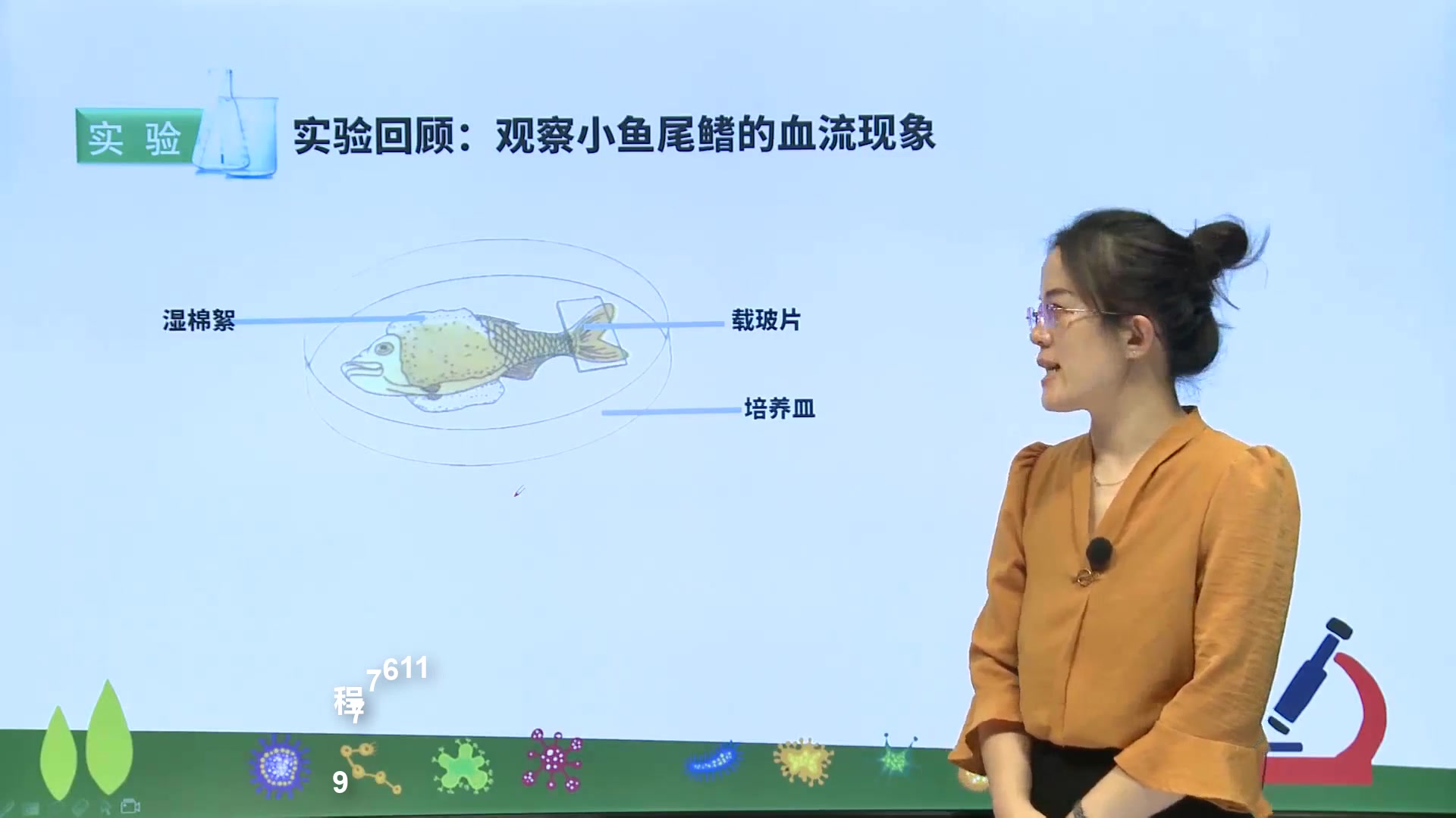 初中七年级生物:血流的管道——血管,直击考点