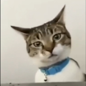 苏格拉底格拉苏 