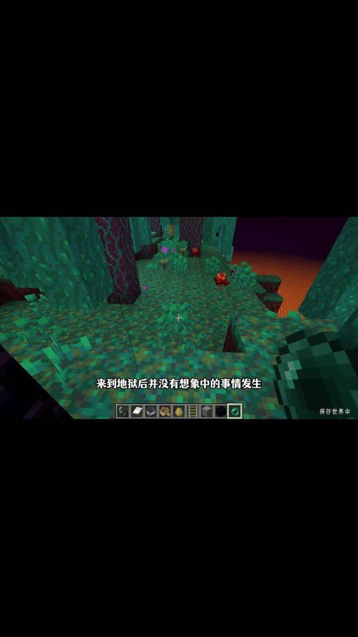 游戏:【我的世界】末影珍珠扔进传送门