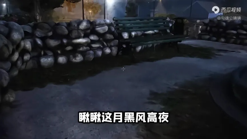 狒狒。小偷模拟器