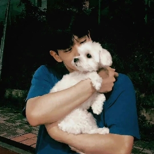 觅一份原味 