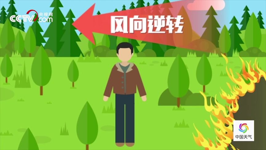 面对森林火灾 我们该怎么做?