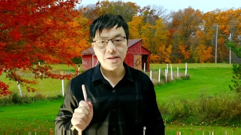 自媒体创业不花一分钱,告诉你正确学习方法,避免上当受骗