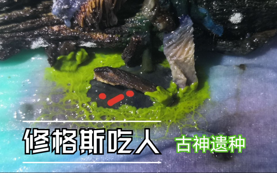 【粘菌】建议改成:信号屏蔽器