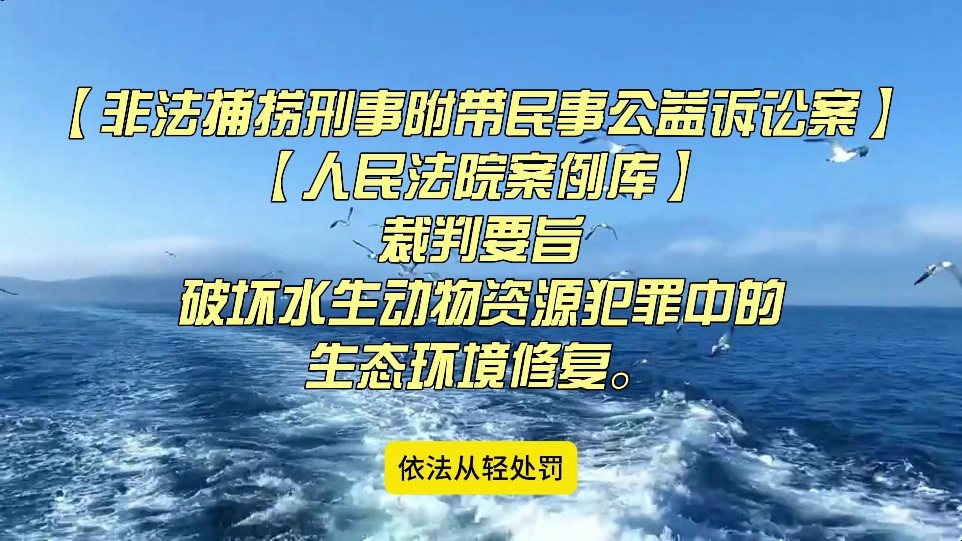 【非法捕捞刑事附带民事公益诉讼案】【人民法院案例库】破坏水生...