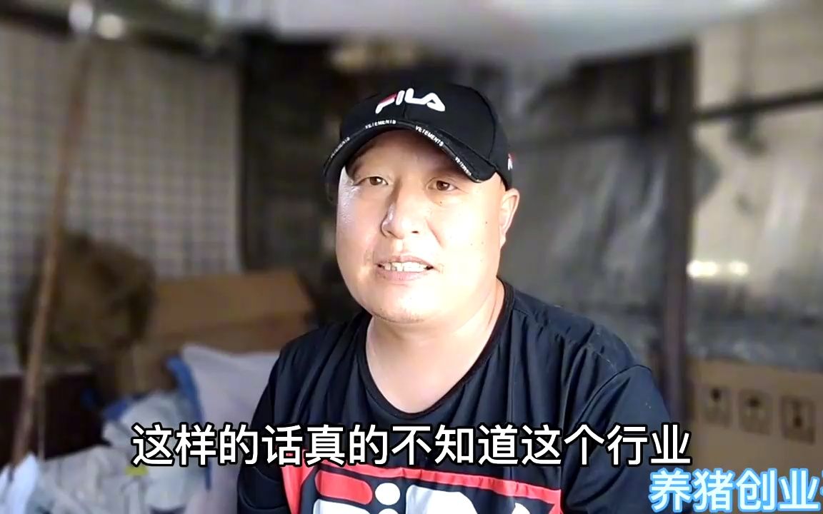 养猪人的出路在那里?如何跳出猪周期?养猪创业哥深度分析!