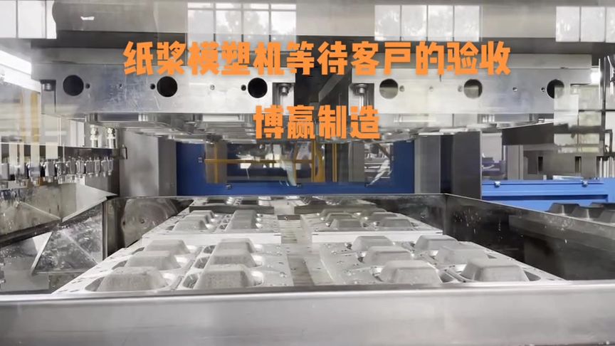 全自动纸浆模塑机#自动化设备 #数控加工 #模具制造