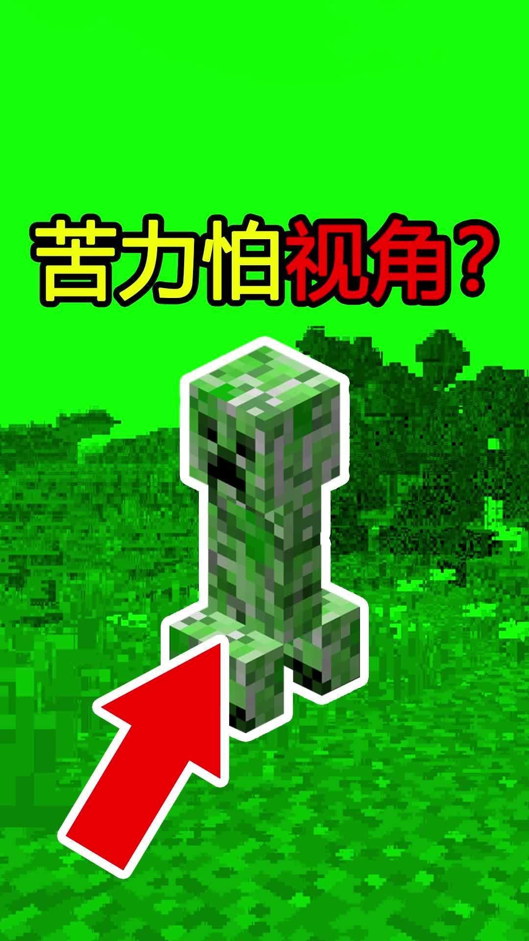 我的世界:来看看苦力怕的视角!兄弟们!