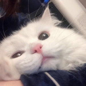 来一吨椰织Joraa 