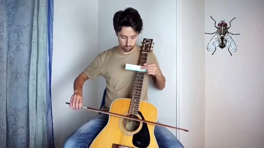 吉他和小提琴弓跨界模拟各种小动物声音ߕ�ߪ�你觉得哪个最像[呲牙]