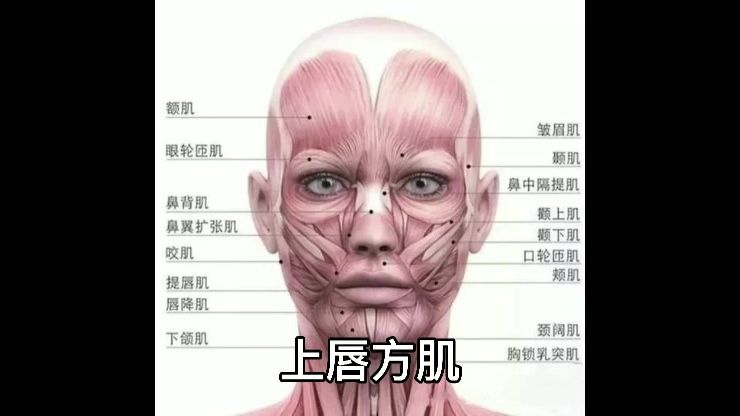 #口轮匝肌练习器,改善面部松弛,消除法令纹,木偶纹