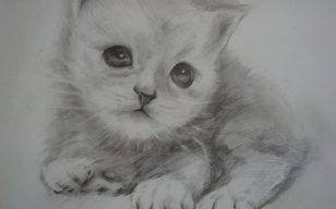 【萌】怎样画动物的毛发?喜欢的孩纸来收藏了