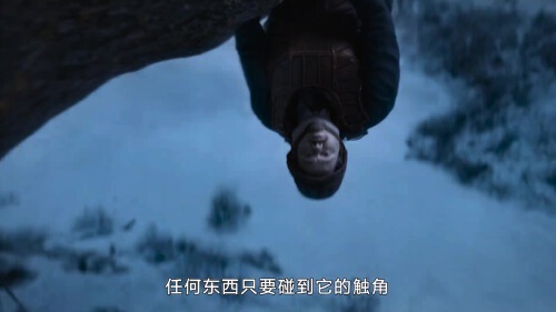 史上最强魔法师,仅凭一个箱子,收服各种凶残巨兽!