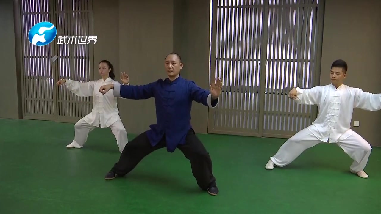 陈式太极拳精要十八式详细教学(郭中玉)