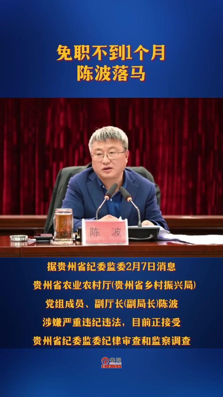 免职不到1个月陈波落马