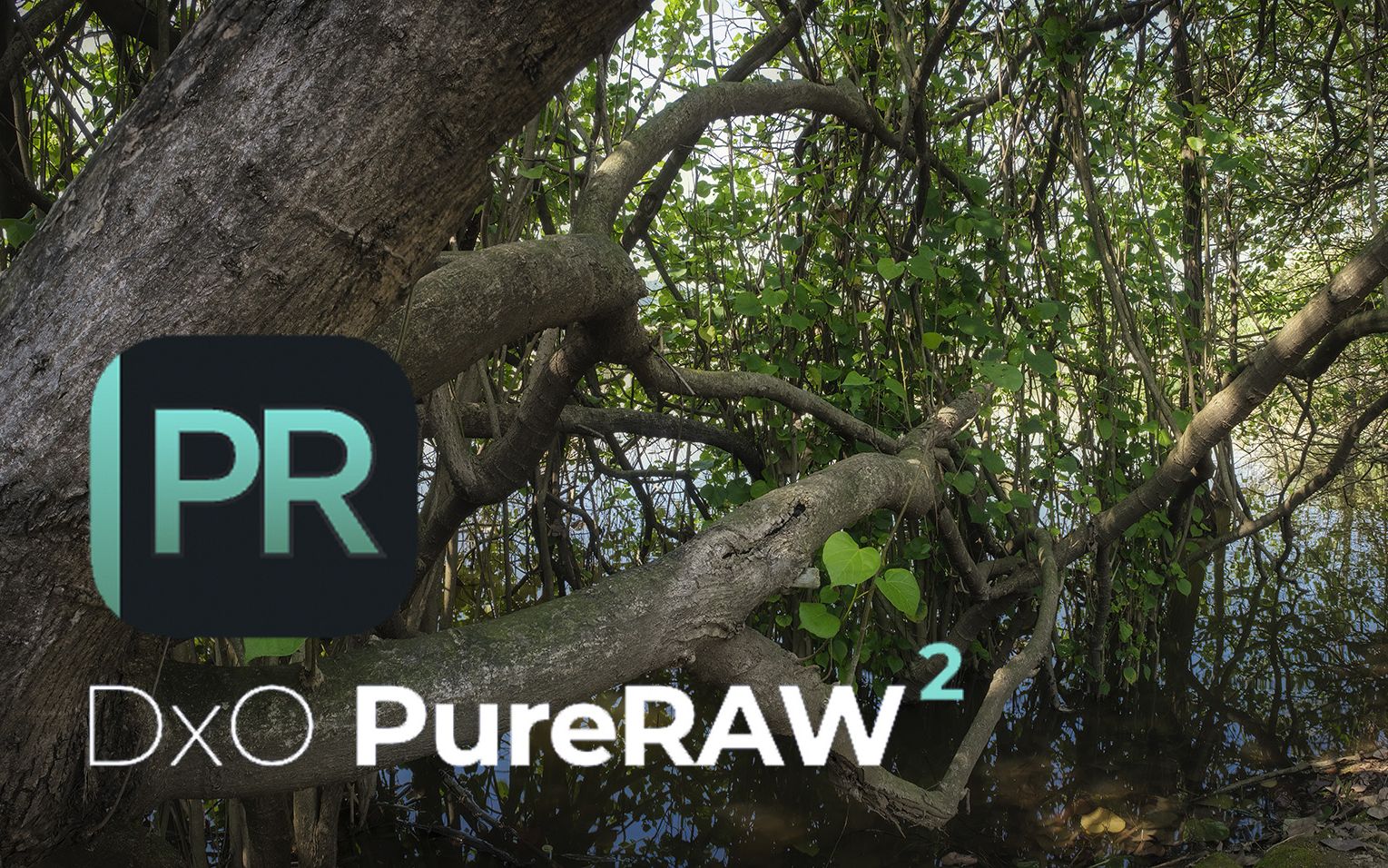 【粵語】【後期】非常好用的富士提升畫質預處理軟件DxO pureRAW ...