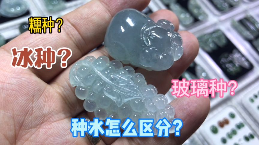 翡翠的种水怎么区分?阿全和你来分享…