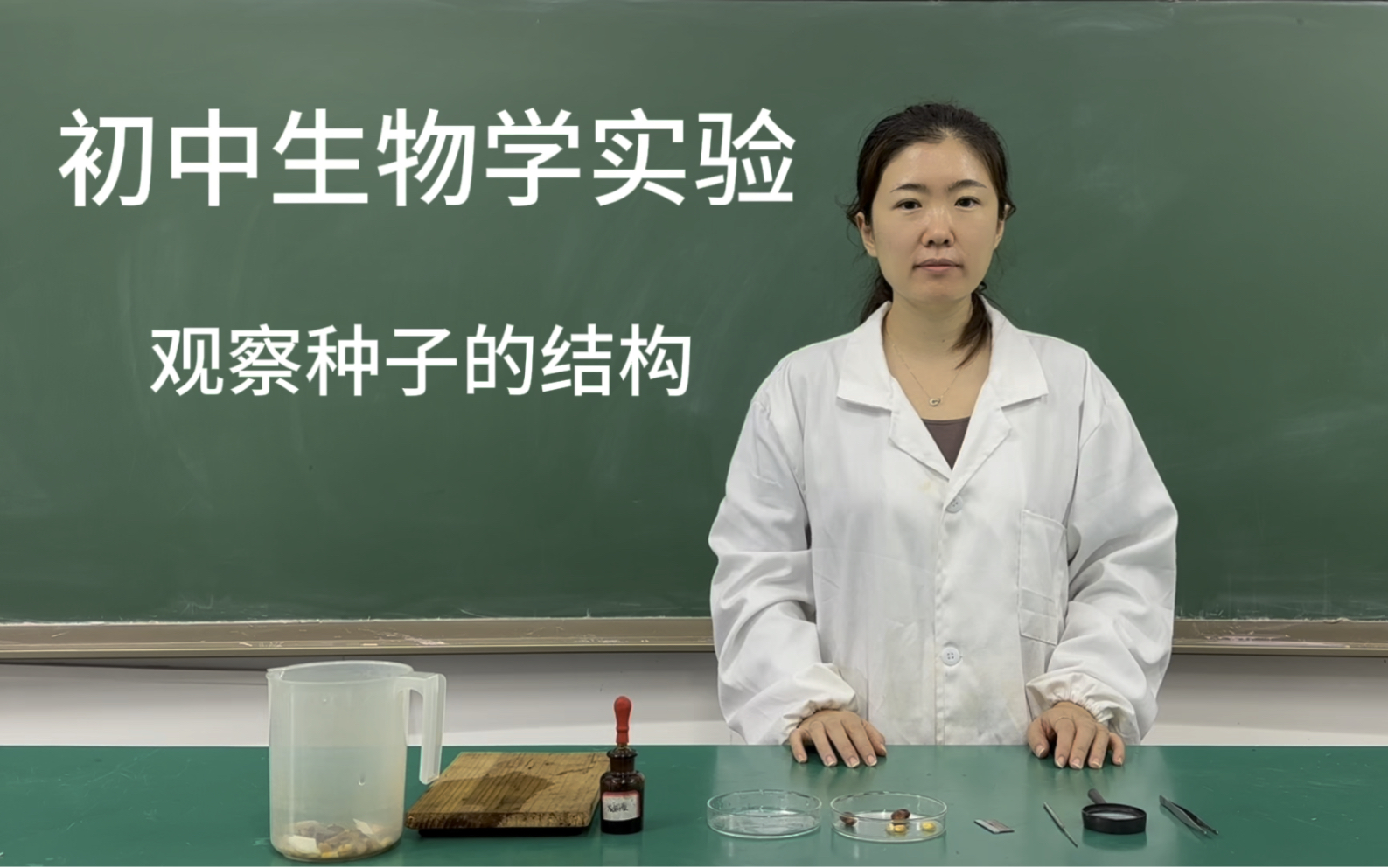 初中生物学实验 观察种子的结构
