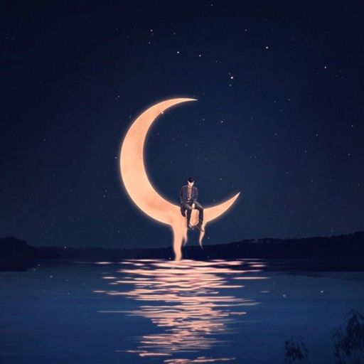 林深也未曾见鹿 