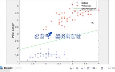 使用感知器神经网络的监督学习进行花卉分类(Matlab代码实现)