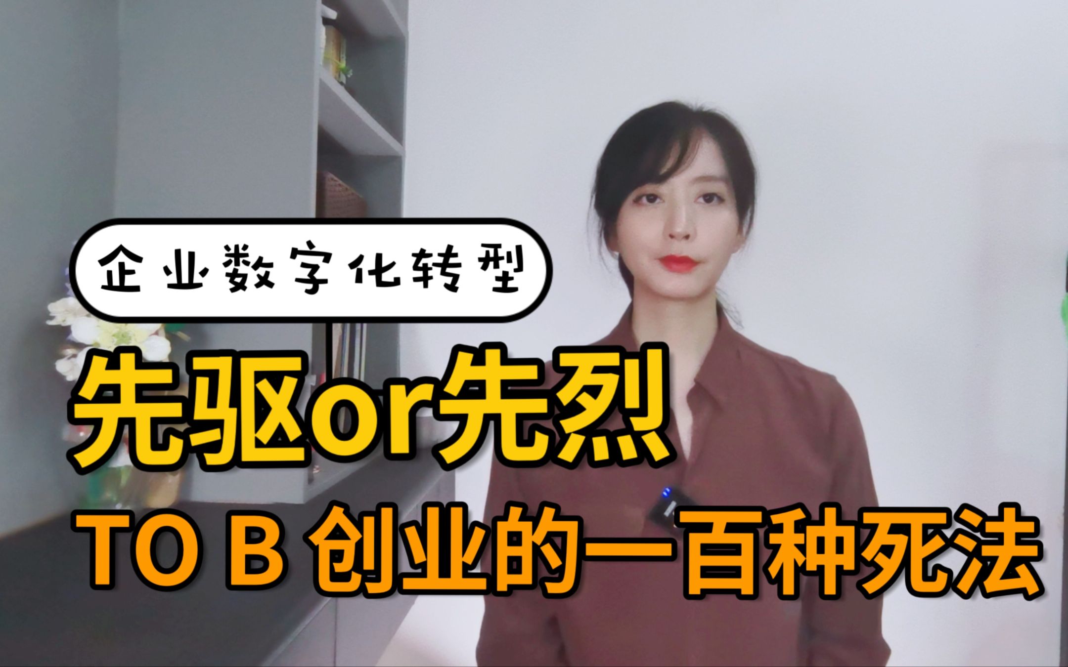 TO B软件创业的N种死法&如何破局?企业数字化转型 | LI道长的世界观...