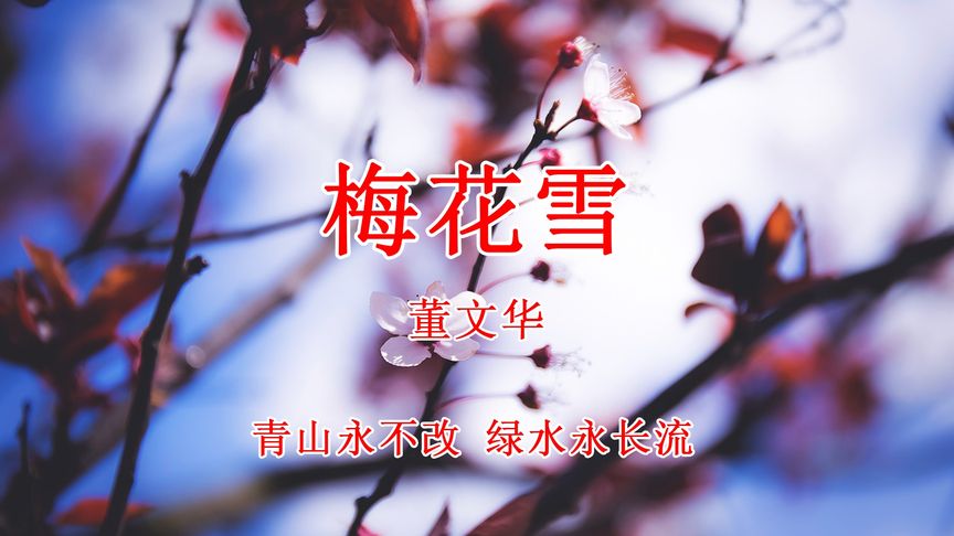 董文华经典歌曲《梅花雪》太好听了,这才是老歌真正该有的味道嘛
