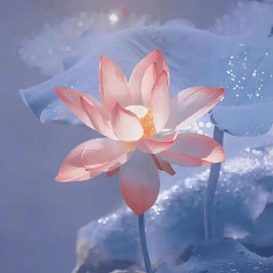 青木花见 