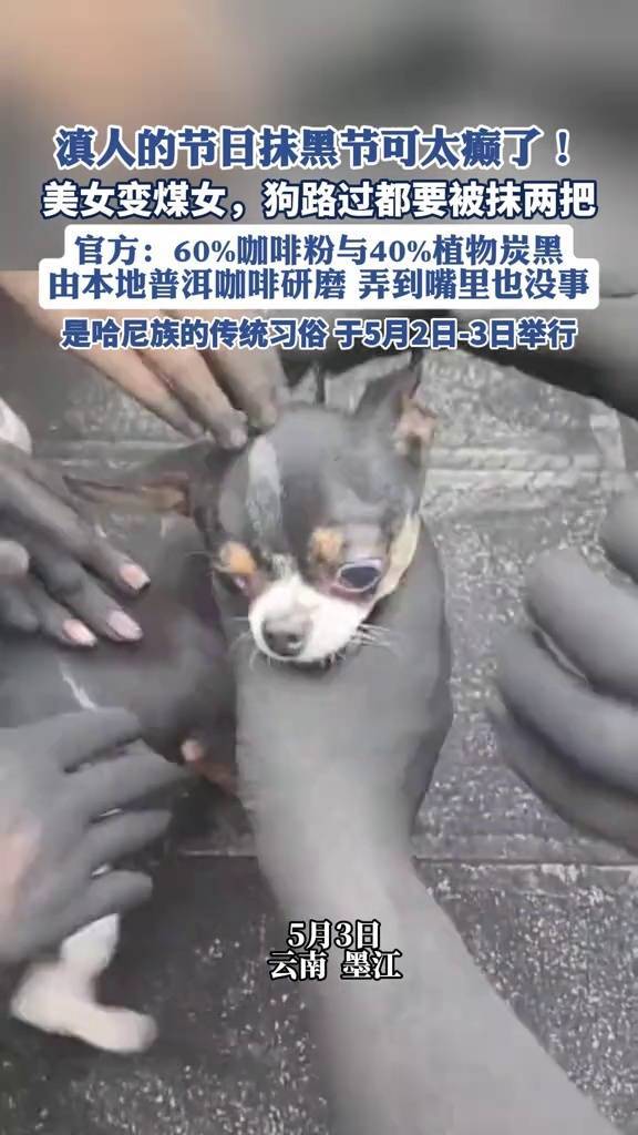 ...官方:60咖啡粉与40植物炭黑,由本地普洱咖啡研磨 弄到嘴里也没事,是...
