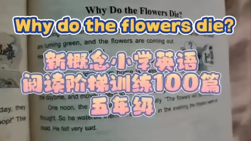 Why do the flowers die小学英语阅读听力训练五年级