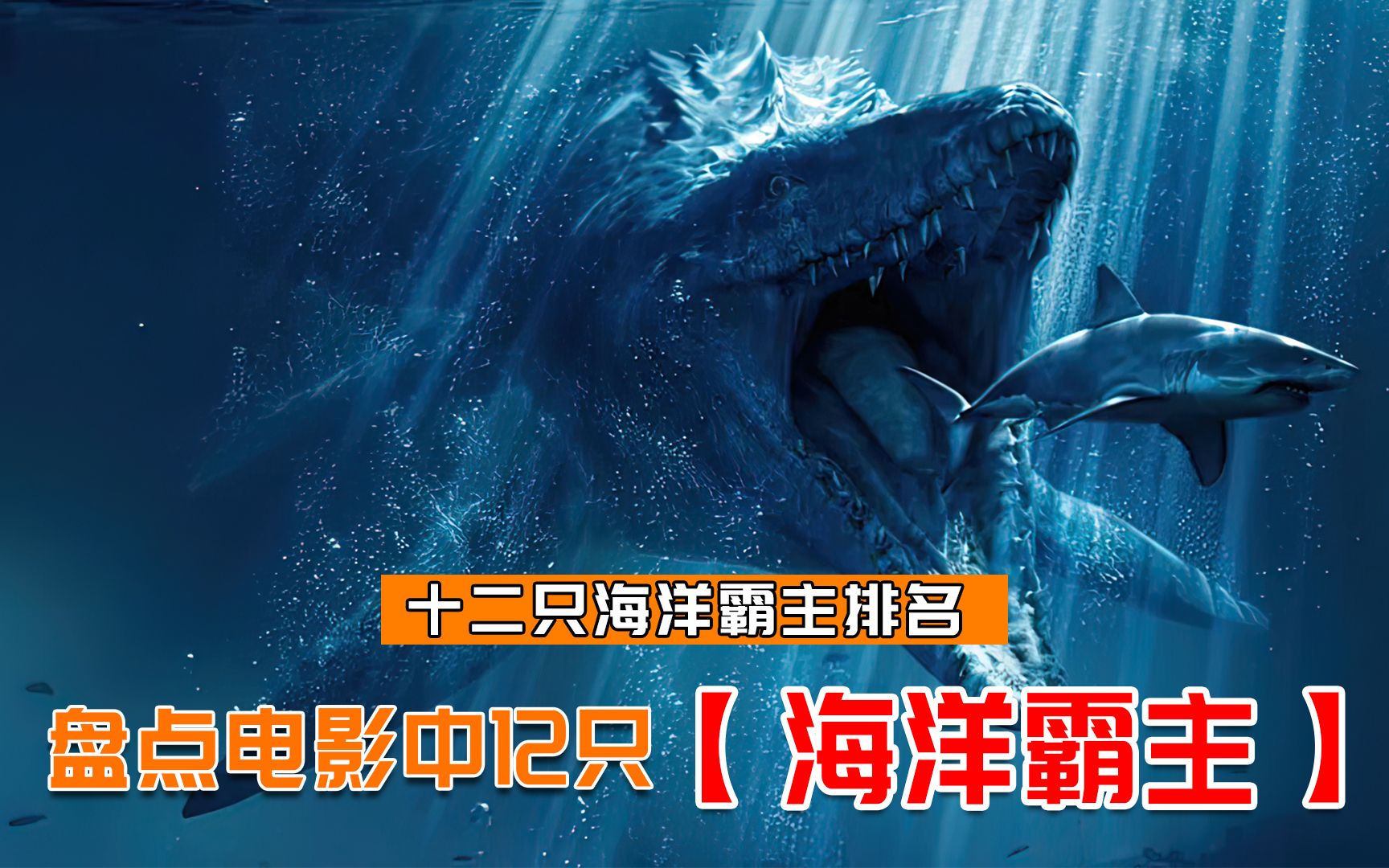 电影中十二只海怪排名,谁才是真正的海洋霸主?