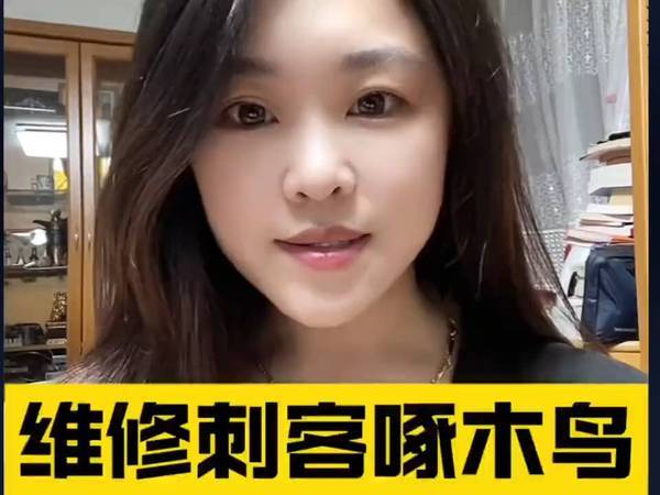 啄木鸟你怎么敢啊!啄木鸟维修道歉啄木鸟家庭维修315晚会