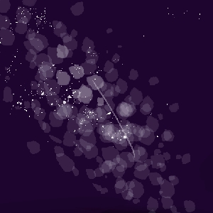 星月夜鸟虫鸣 