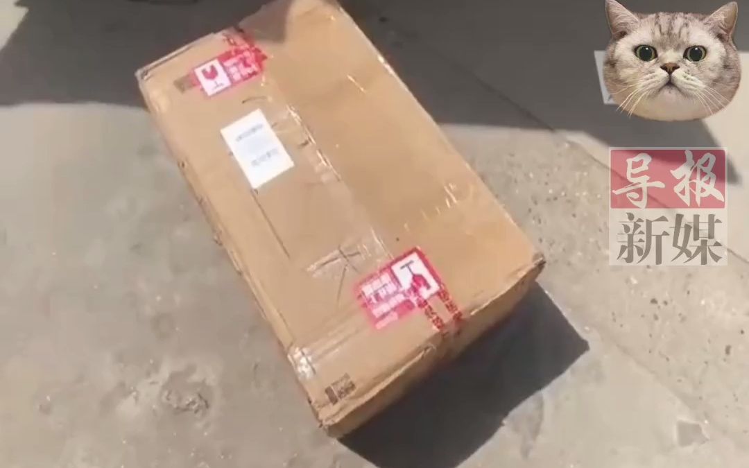 极兔速递寄丢,毕业证学位证,只愿赔偿1760元,快递公司称单号贴错