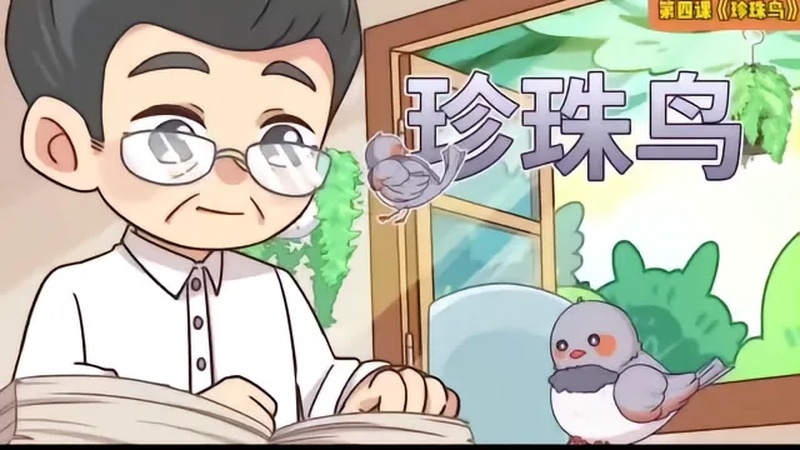 珍珠鸟 五年级上册语文 小学语文 语文 语文新课标
