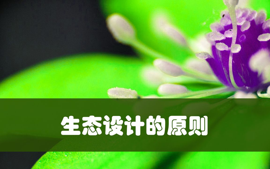 生态设计的原则