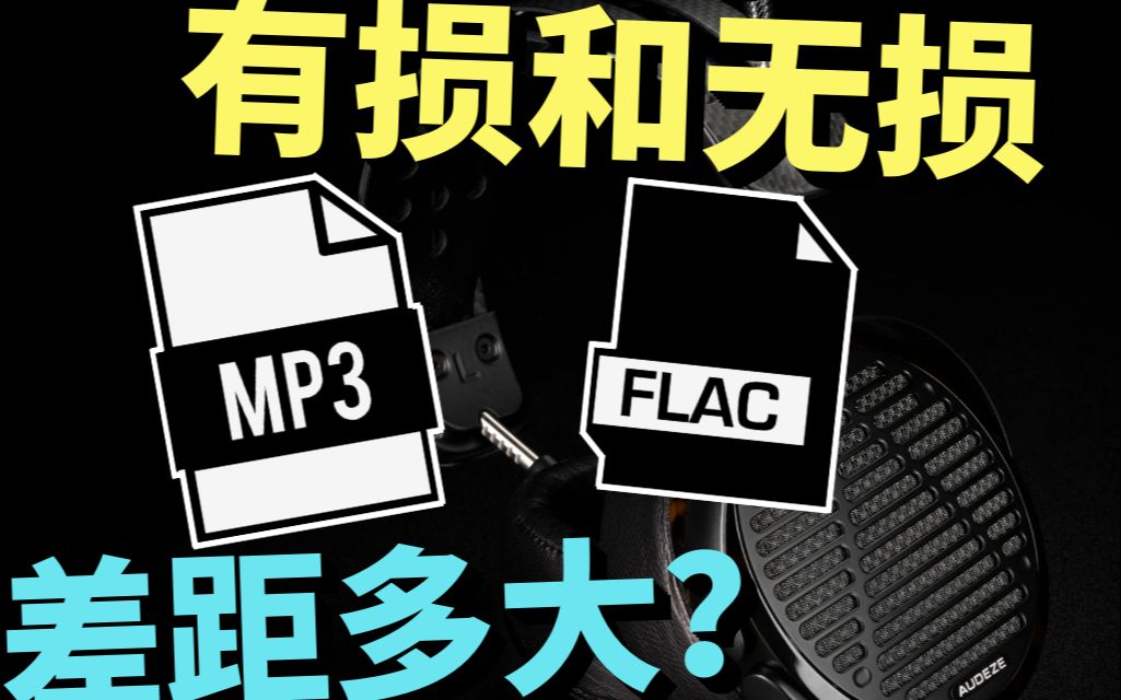 【兔横评6】音乐格式重要吗?你还在意有损和无损吗?| @油兔几