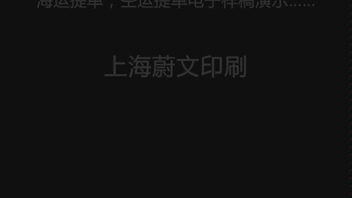 国际货代提单,海运提单、空运提单电子样稿演示。
