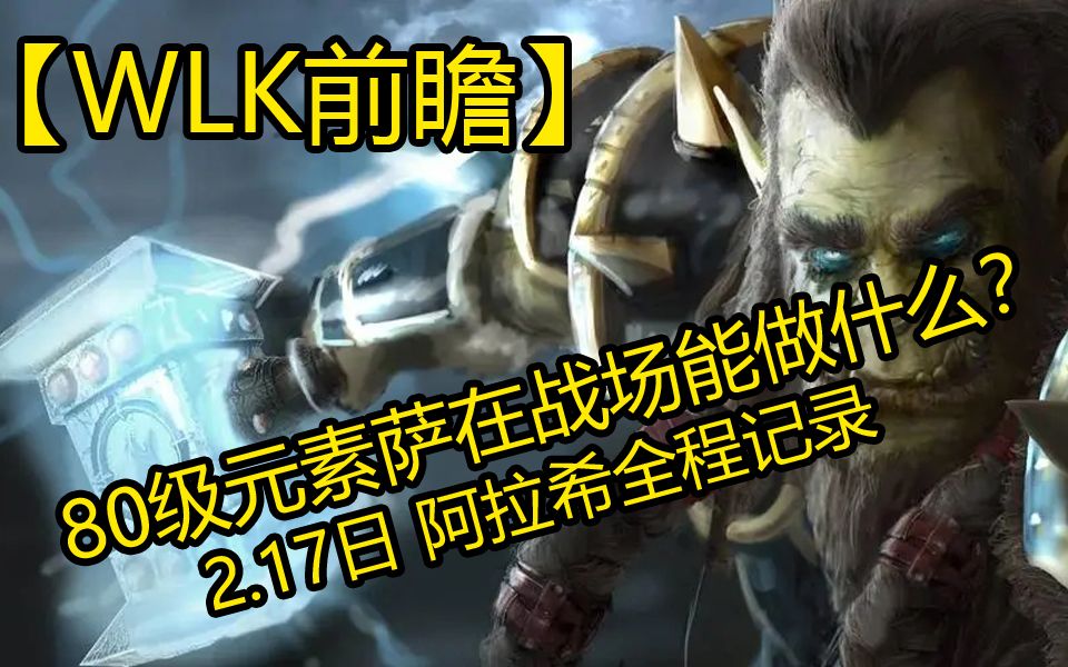 【WLK前瞻】80级元素萨在战场能做什么?2.17日 阿拉希全程记录_...