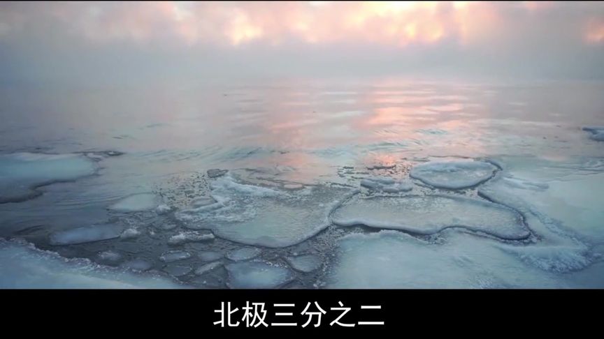 南极和北极的区别,地球上最不可思议的两个地方!