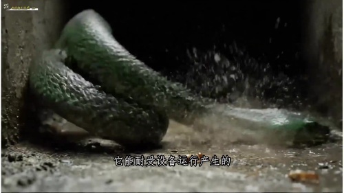 "翠绿光蛇",白蚁的电缆蛀食,管线间的绞杀