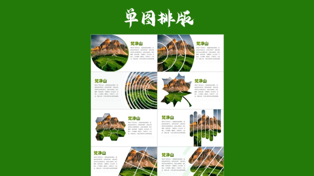 PPT一张图片一段文字不知道怎么排版?看这个就对了!