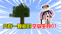我的世界空岛生存1:只有一棵树的空岛,你该怎么才能生存下去?
