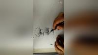 手绘线稿园林景观室内植物单体线稿园林手绘景观手绘线稿教程 马克...