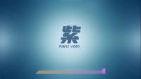 ZD系列 会声会影视频展示 相机镜头拍照LOGO标志小片头(X8 1080P)