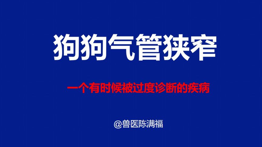 20200304期 狗狗气管狭窄 一个被过度诊断的疾病